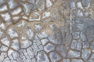11 Types of Cracks in Concrete + What They Mean [With Pictures]