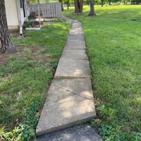 What To Do About Tree Roots Lifting Concrete Slabs