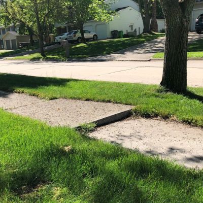 What To Do About Tree Roots Lifting Concrete Slabs