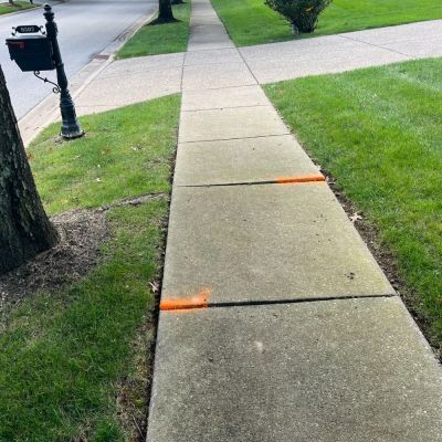 What To Do About Tree Roots Lifting Concrete Slabs