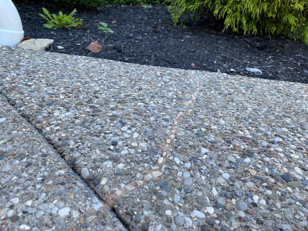 4 Essential Spring Projects for Your Concrete