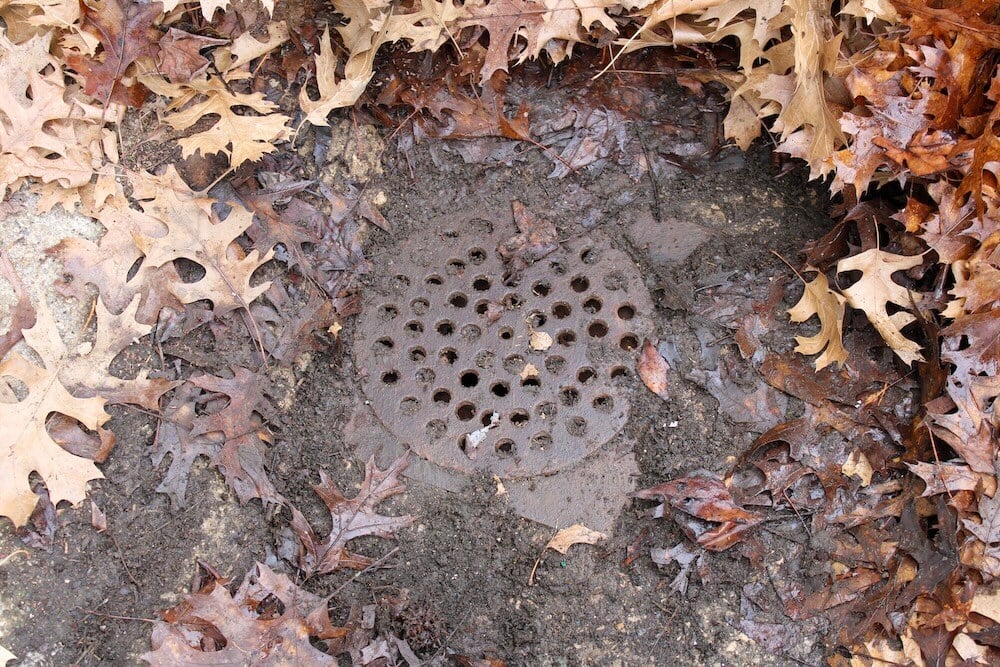 4 Ways Spring Rains Can Damage Your Concrete (and How to Prevent It)