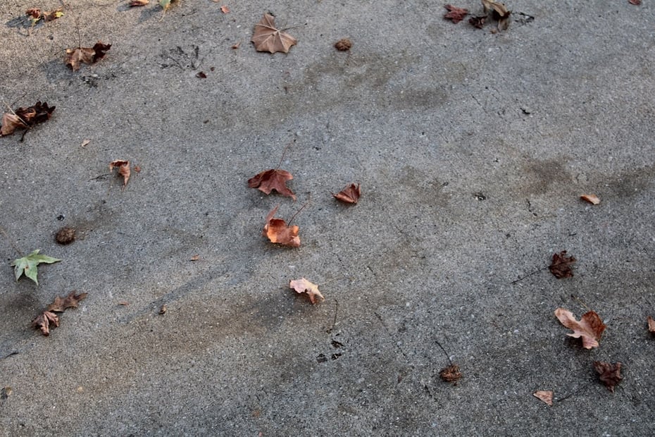How to Clean Your Concrete Driveway Like a Pro