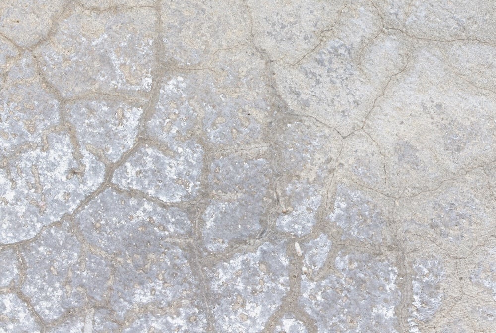11 Types of Cracks in Concrete + What They Mean [With Pictures]